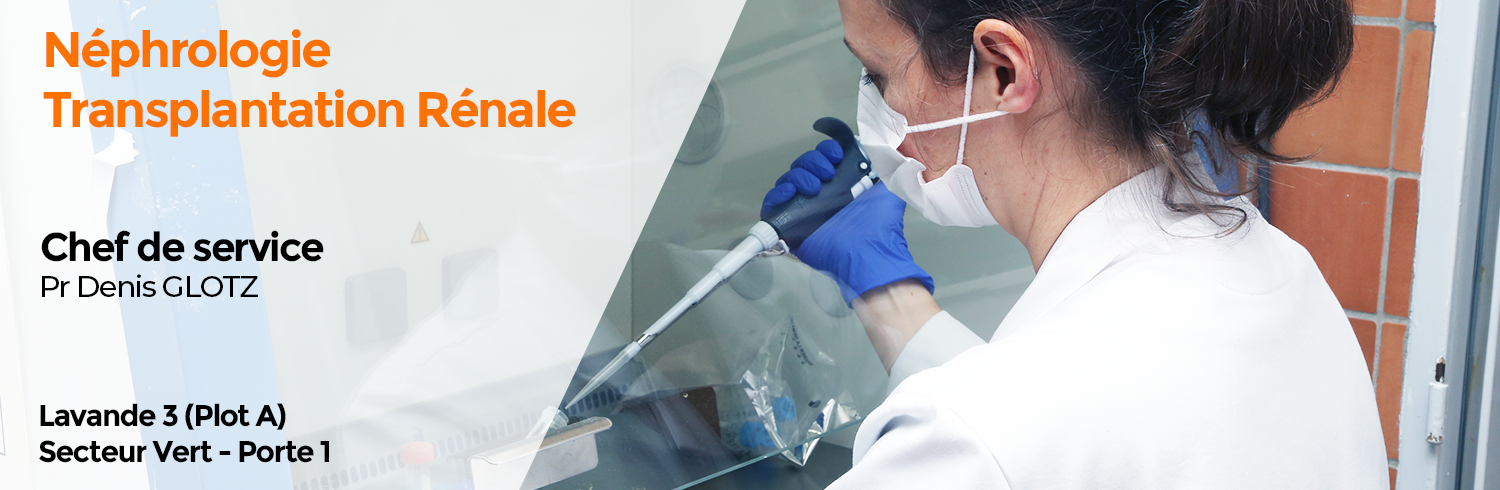 néphrologie | Hôpital Saint Louis